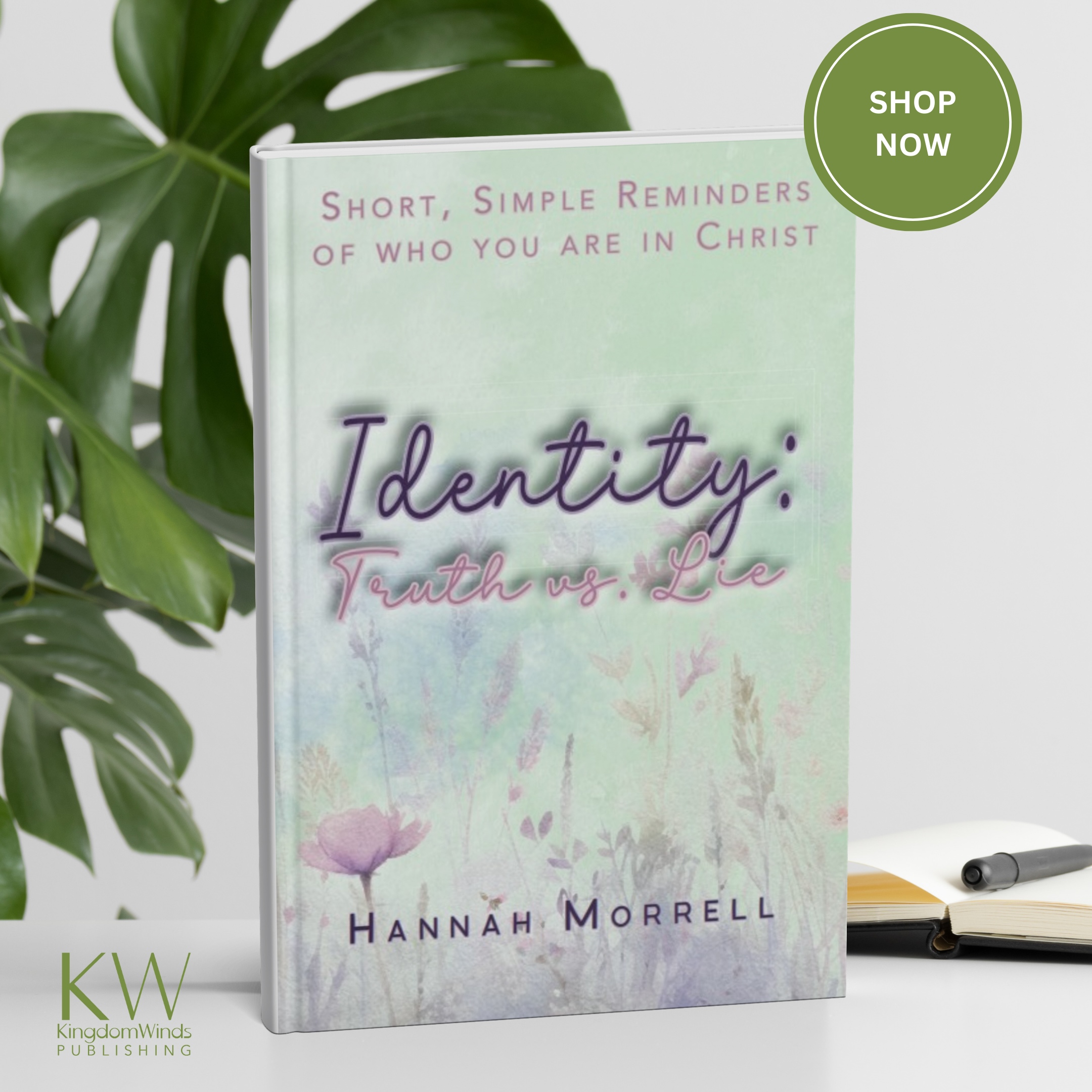 Identity: Truth vs. Lie — Kingdom Winds Publishing